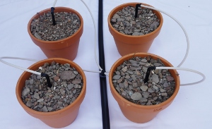 Multi-Outlet Drip Irrigation For Greenhouses and Hydroponics